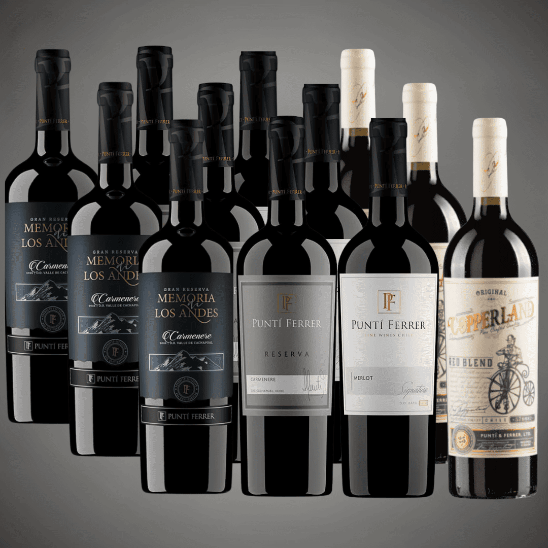 Venta de Vinos Premium Punti Ferrer: Compra Online